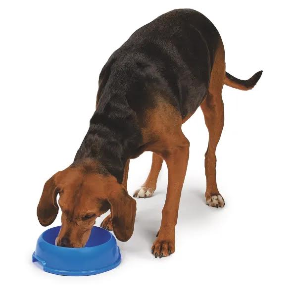 HiLo Single Feeders – alliancepetsupply.com